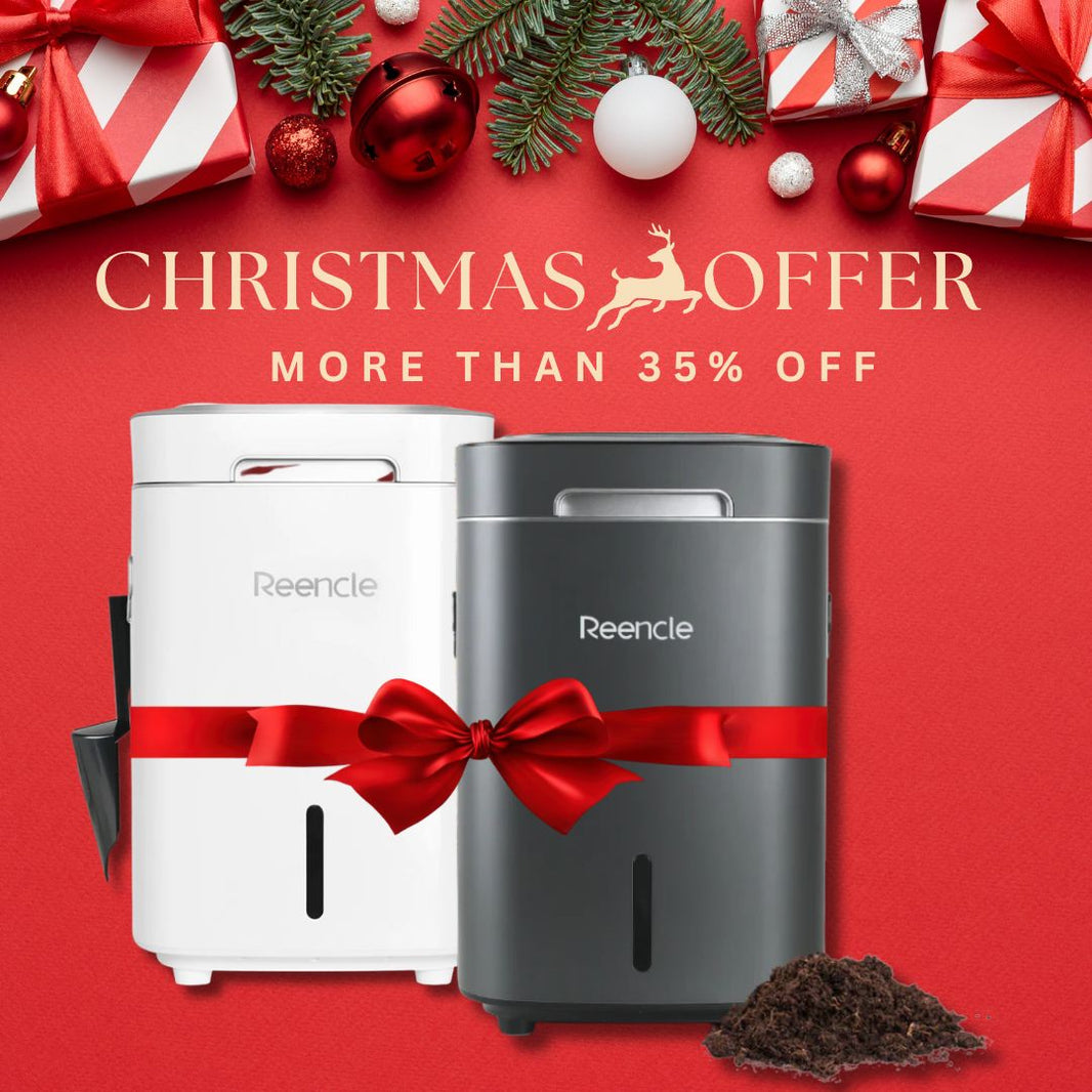 Cosa mettere e cosa evitare nella compostiera da giardino: la guida co – Reencle Italia